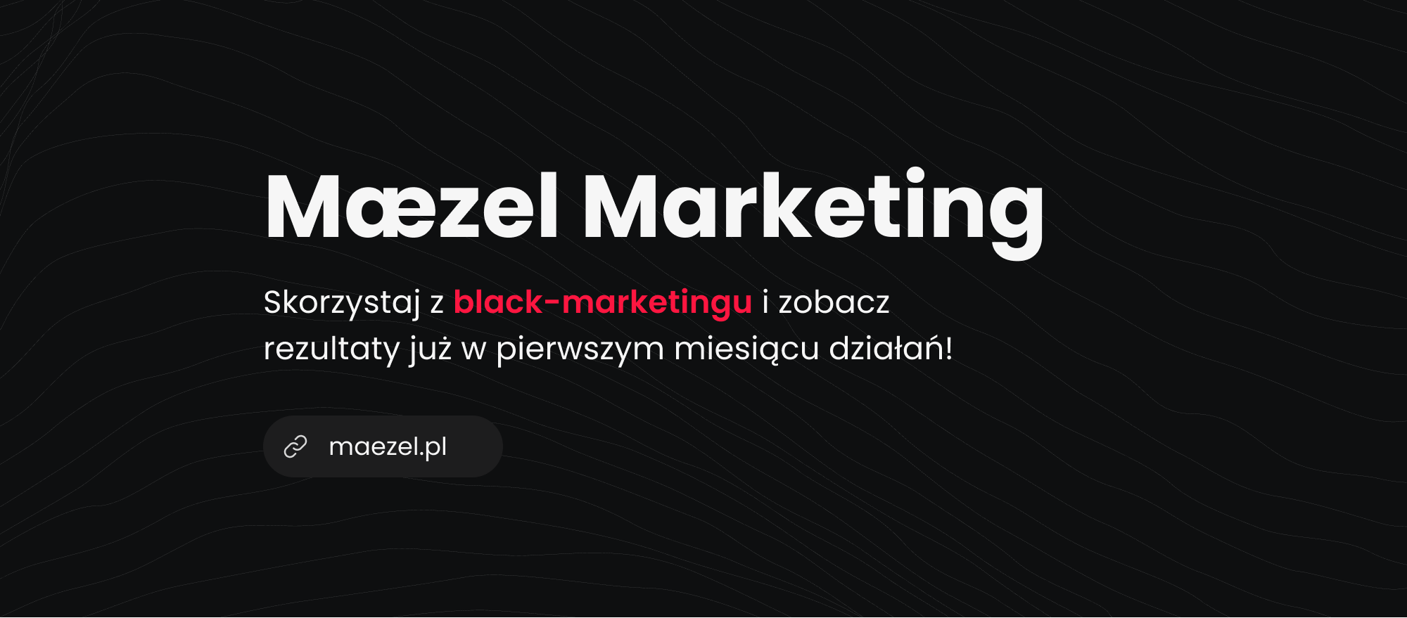 Maezel Marketing - Case Study - Agencja marketingowa Zebra